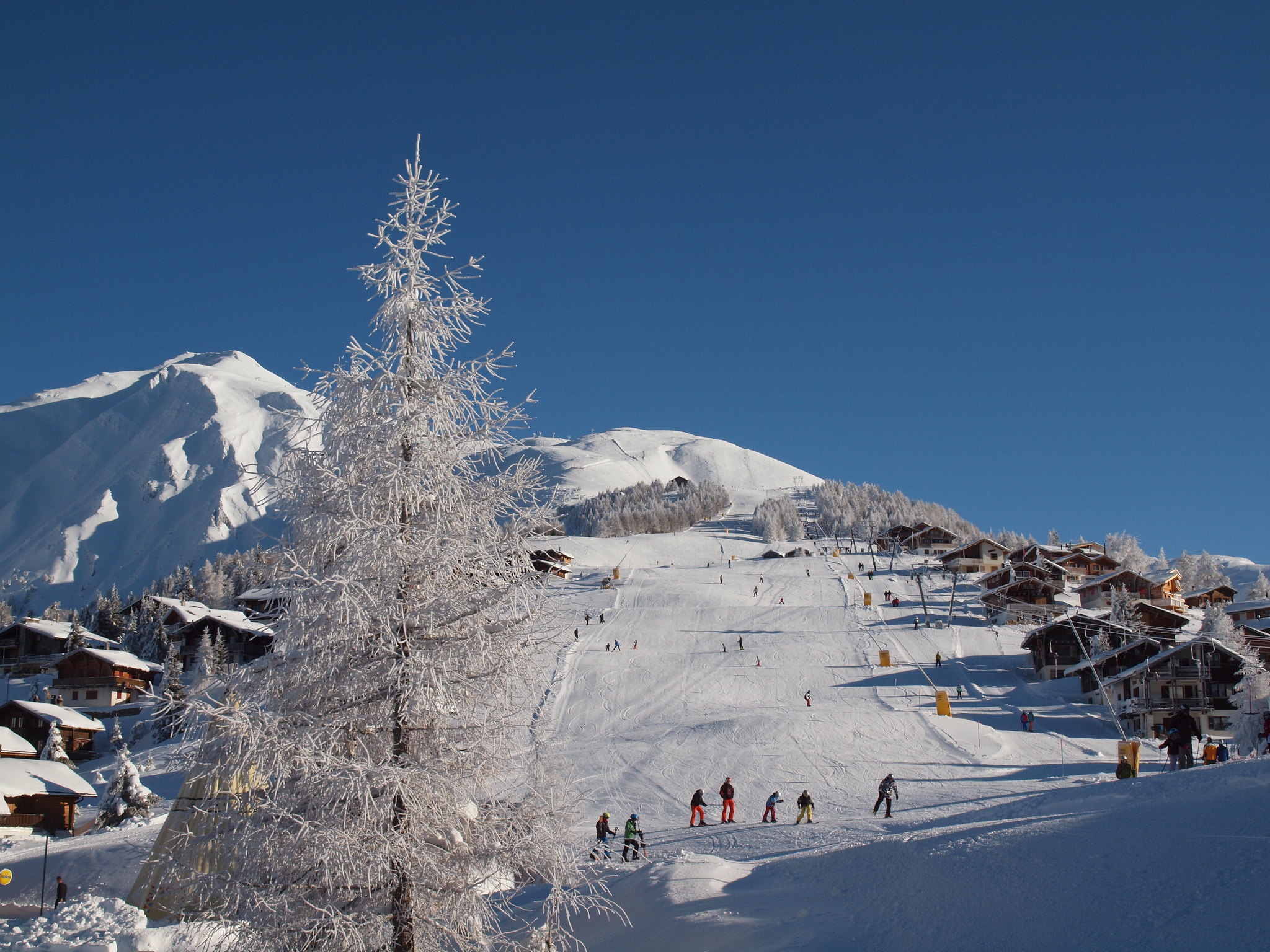 Rosswald - Ihr nächster Urlaub in den Walliser Bergen - mein-rosswald.ch